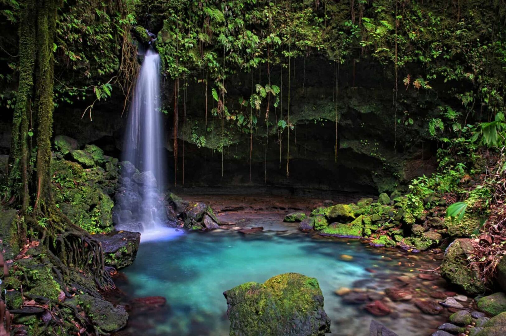 Emerald Pool Dominica: Swim in the Island’s Most Photographed ...